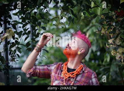 Henck Roling, in-house florist at Kew, poses with Anthurium, also known ...