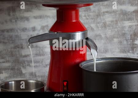 Clarification, skimming milk separation from fat Stock Photo - Alamy