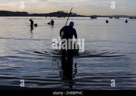 A shellfish worker looks for cockles and clams on a beach in Galicia at ...