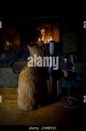 A funny red cat near the fireplace, with some wine Stock Photo - Alamy