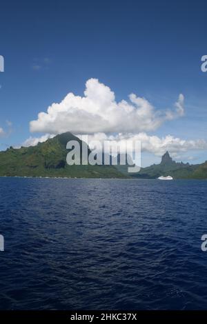 Tahiti island tropical rainforest in the mountain near the mount Marau ...