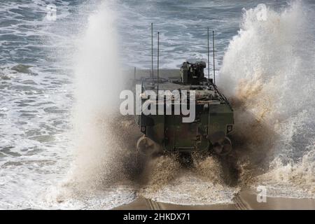 3rd Assault Amphibian Battalion conducts night ops Stock Photo - Alamy