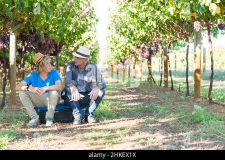 Senior man share its experience with guy Stock Photo - Alamy