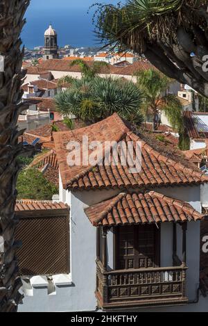 Sky, People, Palm Trees, Casa Marina Bay Resort in Las Galeras ...