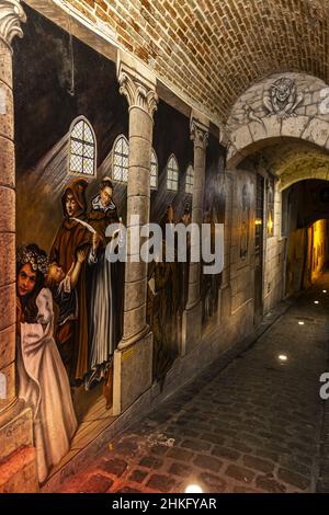 France, Aisne (02), Laon, medieval city, The pedestrian street in Laon ...