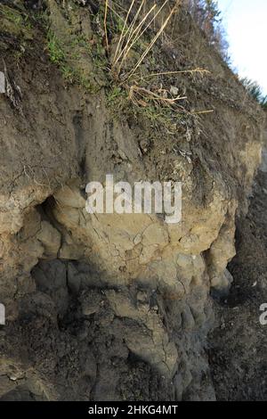 texture of the dry clay at the sea cliff, sea coast with high hills ...