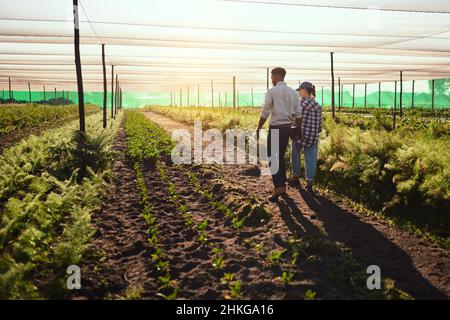 Getting up close and personal with her crops. an attractive young woman ...