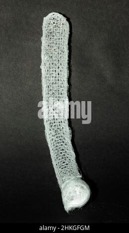 Venus Flower Basket Sponge Skeleton Euplectella aspergillum Stock Photo ...