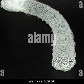 The Glass Sponge, or Venus Flower Basket makes a delicate but rigid ...