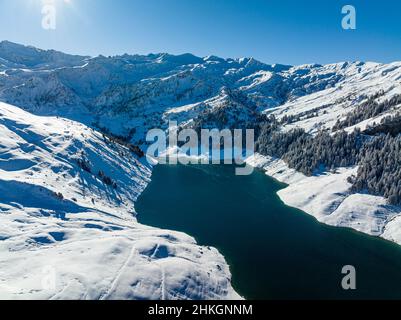 Fresh snow bank, snow covered pine trees and a bright blue sky Stock ...