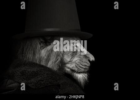 Man in the form of a Lion mammal Mafia style , The Lion person , animal ...