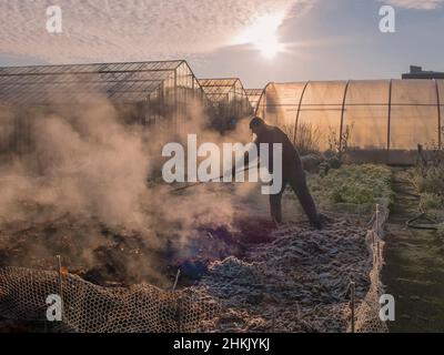 compost is turned on a bed in winter, Germany, Hamburg Stock Photo - Alamy