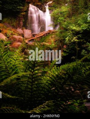 Amazing long exposure shot of Torc waterfall in Kerry mountains Stock ...