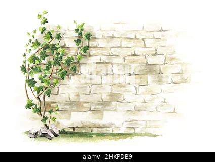 Green leaves wall background decorative texture Stock Photo - Alamy