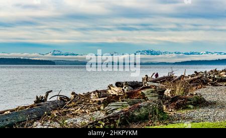 Mountains rise up across the Puget Sound in Washington State Stock ...