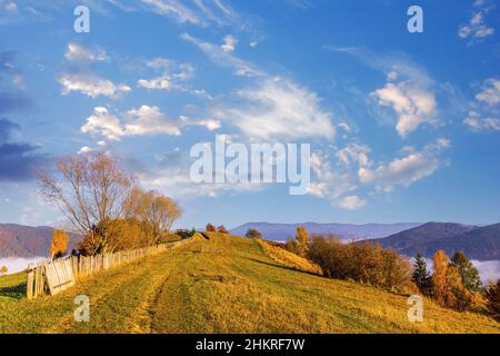 Ground grassy road runs along wooden fence near yellowed birch trees on ...