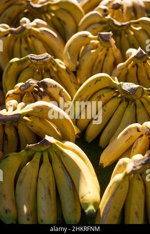 ripe appetizing bananas on shelf in fridge Stock Photo - Alamy