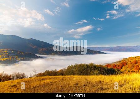 Highland with giant forestry mountains and grassy hills surrounded by ...