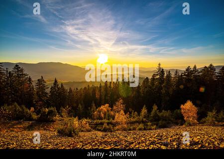 Grassy slopes with lush trees growing in highland against distant giant ...