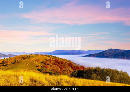 Highland with giant forestry mountains and grassy hills surrounded by ...