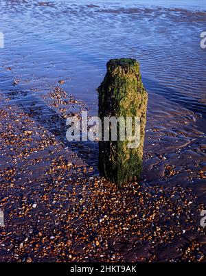 Found outdoor intimate still life of seaside groynes Stock Photo - Alamy