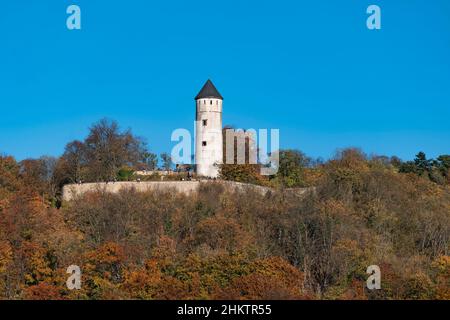 Medieval castle ruins Plesseburg on a summer day surrounded by forest ...