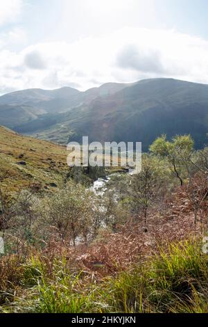Waterfall flowing into Loch Trool, Glen Trool, Dumfries and Galloway ...