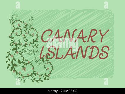 Text showing inspiration Canary Islands. Business approach a group of ...