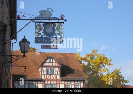 Germany, Hesse, Mute Swan on frozen river Stock Photo - Alamy