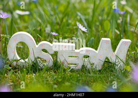 Wooden easter letters in a spring meadow Stock Photo - Alamy