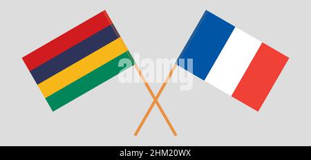 France and Mauritius flags for official meeting against background of ...