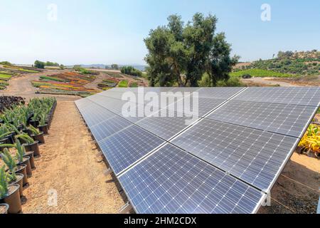 Solar panels in a large botanical garden with trees and organized ...