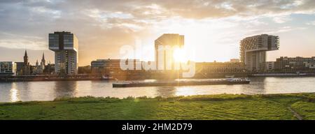crane houses in cologne at sunset Stock Photo - Alamy