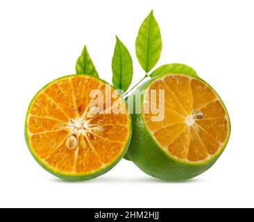 Yellow green calamansi, calamondin or philippine lime tropical fruit ...
