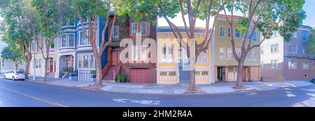 Columnar trees at the front of houses in San Francisco, California ...