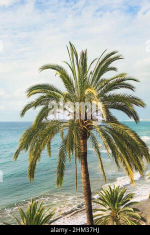 Landscape with Marbella beach in January, Spain Stock Photo - Alamy