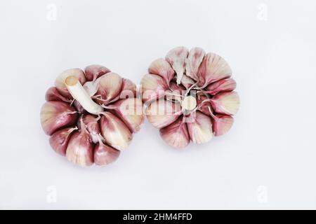 Garlic Allium sativum viewed from above Stock Photo - Alamy