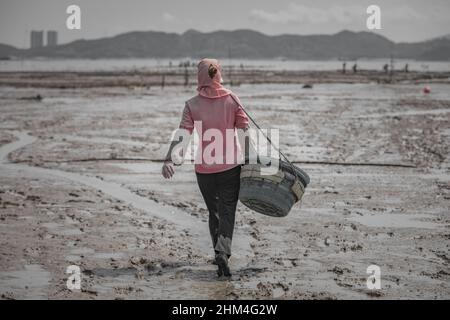 Dig clams people Stock Photo - Alamy