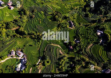 Chongqing rural terraced landscape Stock Photo - Alamy