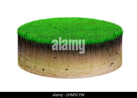 Vector oval green lawn grass texture Stock Vector Image & Art - Alamy