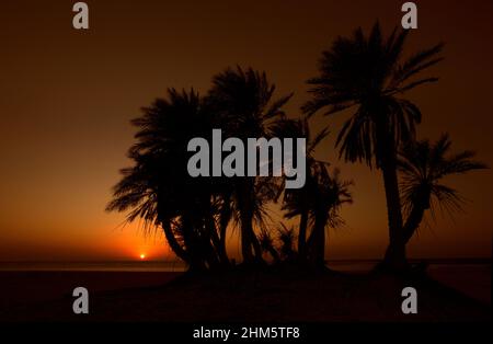 Beautifull view of Umm Bab beach QATAR Stock Photo - Alamy