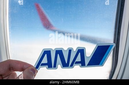 ANA airline logo and aircraft at Tokyo airport, Japan Stock Photo - Alamy