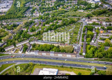 Aerial view, allotment garden association south, Ückendorf ...