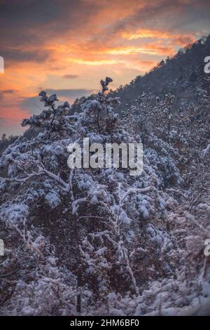 Affected by the strong cold air, a heavy snow fell in Weihai City, east ...