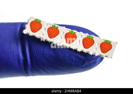Strawberry trips-Blotting paper impregnated with the drug L.S.D ...