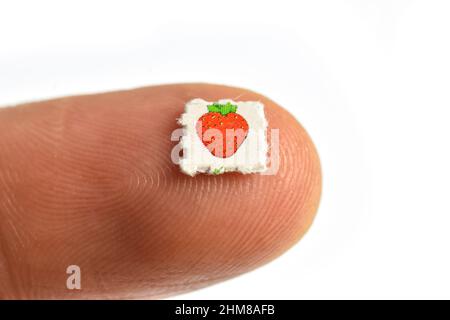 Strawberry trips-Blotting paper impregnated with the drug L.S.D ...