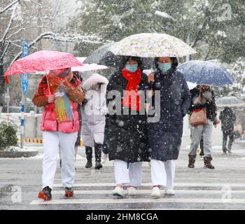 Affected by the cold wave, the first heavy snow fell in Weihai City ...