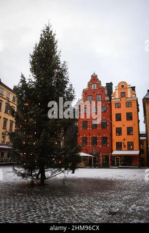 Christmas Tree in Gamla Stan Stockholm Sweden Stock Photo - Alamy