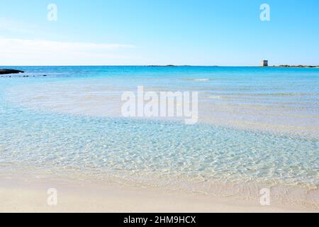 crystalline water and sandy beach Stock Photo - Alamy