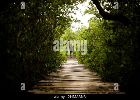 Anonymous distant traveler strolling on grassy land under night ...